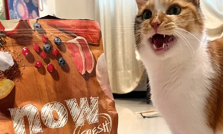 now鮮肉成貓糧．適口性好到沒話說-SofyDOG蘇菲狗