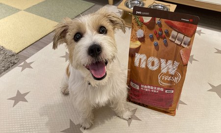 now鮮魚成犬糧．適中尺寸好消化 - SofyDOG蘇菲狗