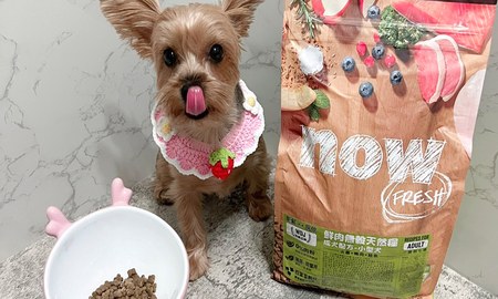 now狗糧．顆粒大小對小型犬很友善 - SofyDOG蘇菲狗