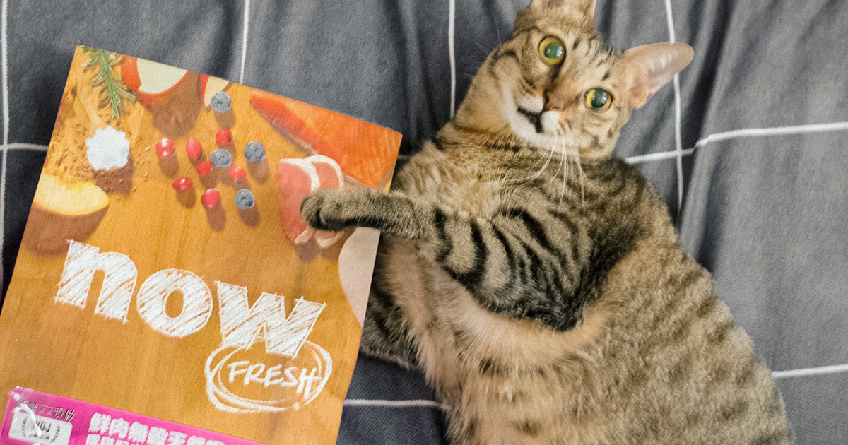 now鮮肉成貓糧．聞起來肉香四溢 - SofyDOG蘇菲狗