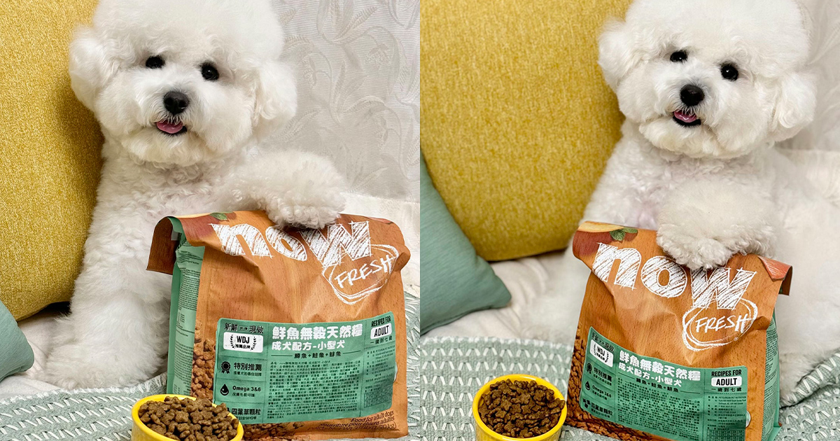 now鮮魚犬糧．每日保健皮膚毛髮 - SofyDOG蘇菲狗