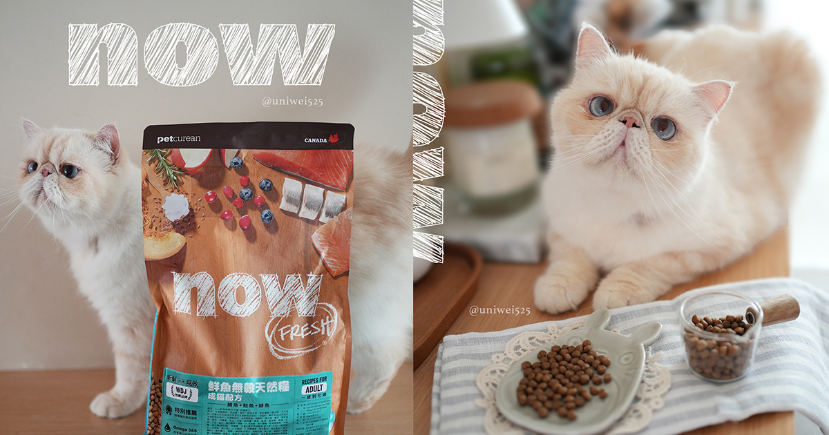 now鮮魚成貓糧．烏尼一吃就愛上 - SofyDOG蘇菲狗
