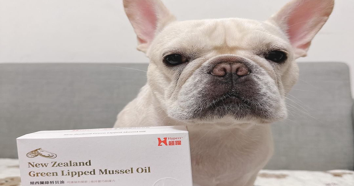 超躍紐西蘭綠唇貝油．好吞好餵不用剪-SofyDOG蘇菲狗