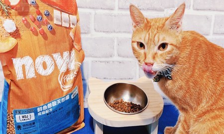 now 貓糧．出乎意料的喜歡！ - SofyDOG蘇菲狗