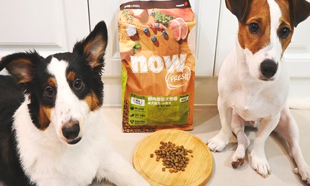 now小型犬糧．很特別的四葉草造型 - SofyDOG蘇菲狗