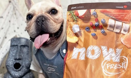 now鮮魚成犬糧．香噴噴滿足各年齡 - SofyDOG蘇菲狗