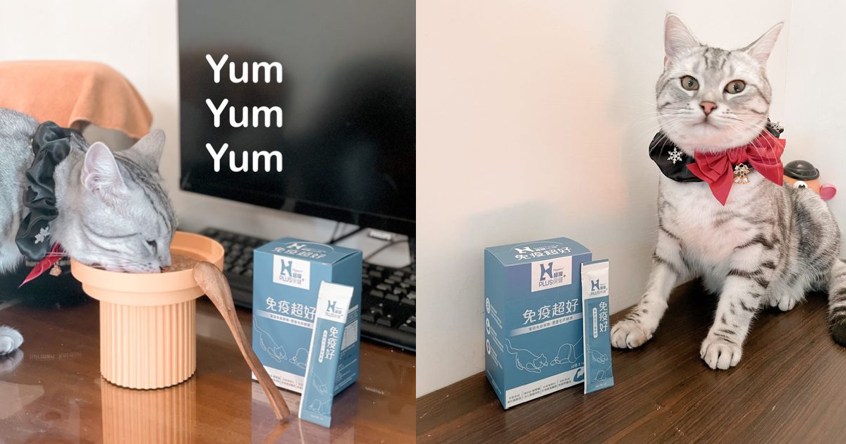 超躍免疫力保健品．多項的認證很安心-SofyDOG蘇菲狗