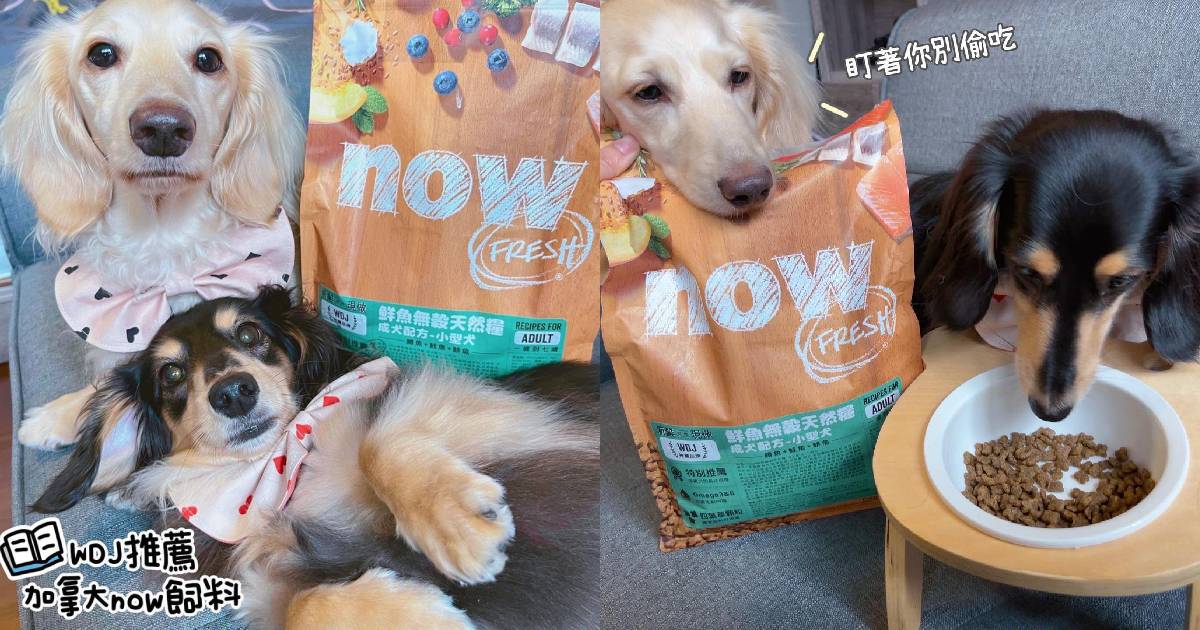 now鮮魚小型犬糧．輕鬆咀嚼無負擔 - SofyDOG蘇菲狗
