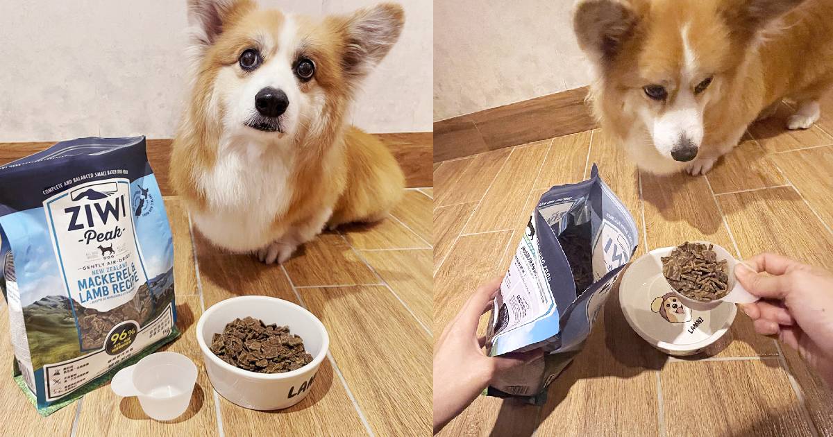 ZIWI巔峰．水分遠比飼料多好多 - SofyDOG蘇菲狗