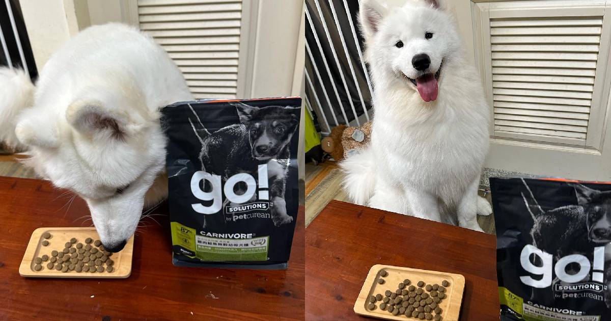 go!幼犬飼料．幫助成長發育 - SofyDOG蘇菲狗