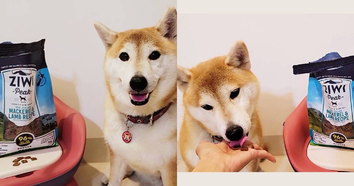 ZIWI巔峰．幫助維持皮膚健康-SofyDOG蘇菲狗