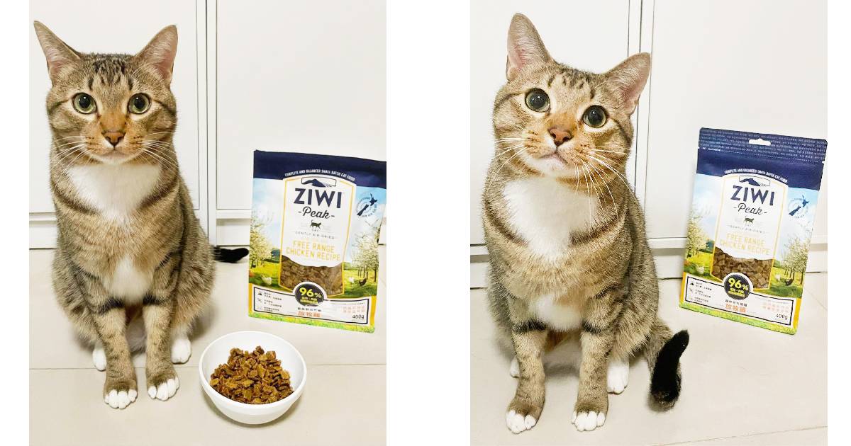 ZIWI巔峰．有種大口吃肉的快感 - SofyDOG蘇菲狗