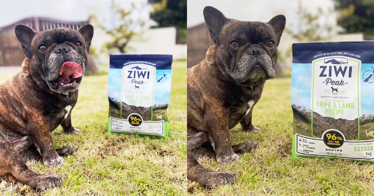 ZIWI巔峰．高能量營養配方 - SofyDOG蘇菲狗