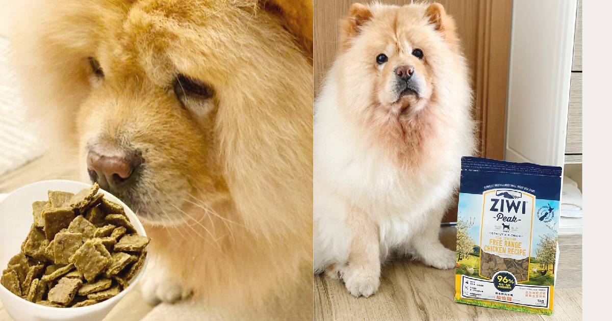 ZIWI巔峰．低脂高蛋白腸道吸收好 - SofyDOG蘇菲狗