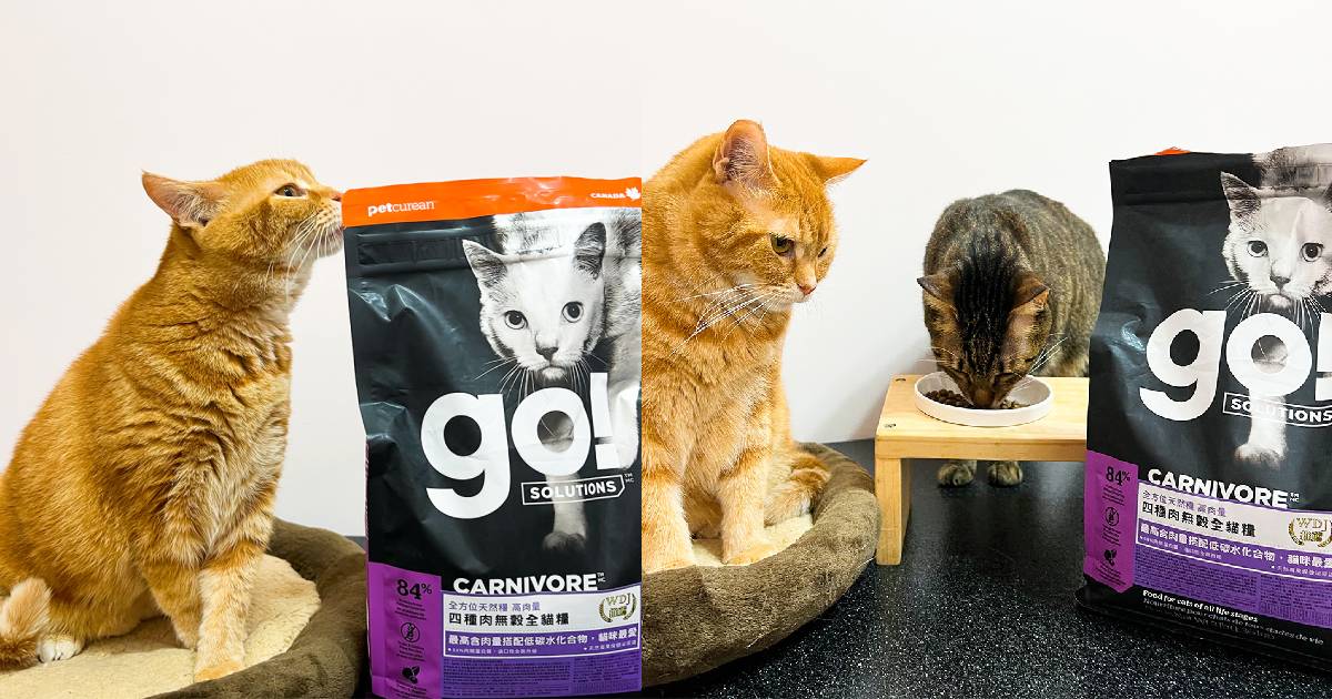 go! 貓糧．一開封就衝過來討吃 - SofyDOG蘇菲狗