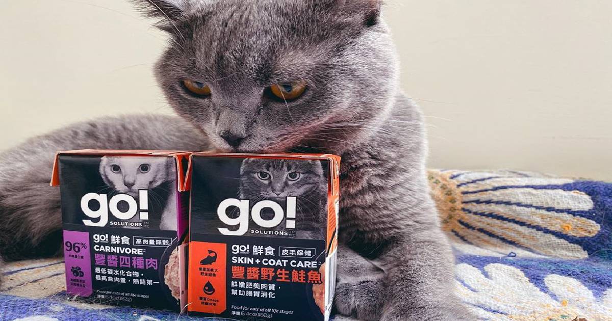 go!貓利樂包．讓貓咪們難保持優雅-SofyDOG蘇菲狗