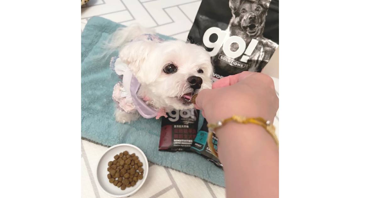 go!海洋鮭鱈狗糧．皮膚不抓抓了 - SofyDOG蘇菲狗