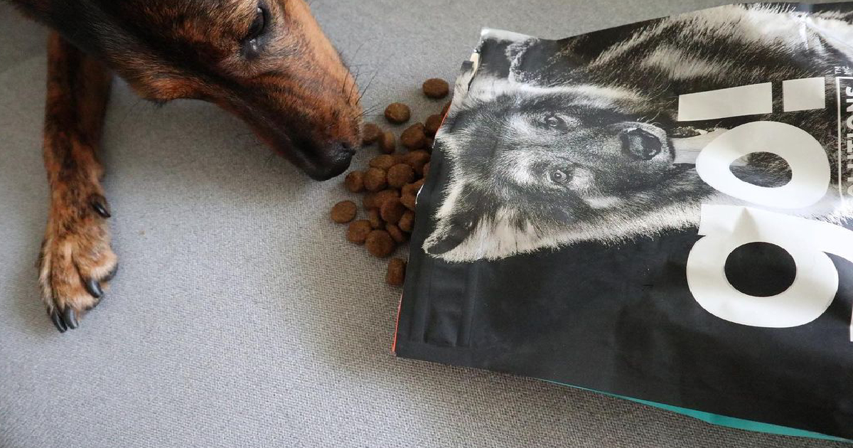 go!狗飼料．維持美麗體態長肉肉！-SofyDOG蘇菲狗