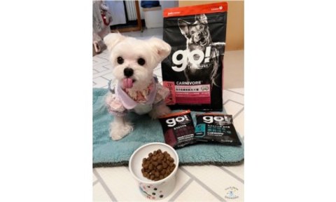 go!海洋鮭鱈狗糧．皮膚不抓抓了 - SofyDOG蘇菲狗