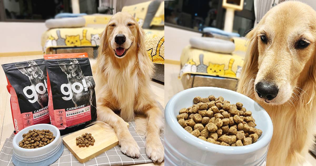 go!海洋鮭鱈狗糧．WDJ推薦品牌 - SofyDOG蘇菲狗