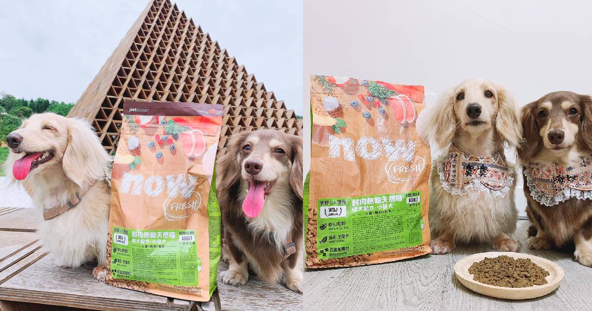 now鮮肉小型犬糧．搶吃直接掃盤！ - SofyDOG蘇菲狗