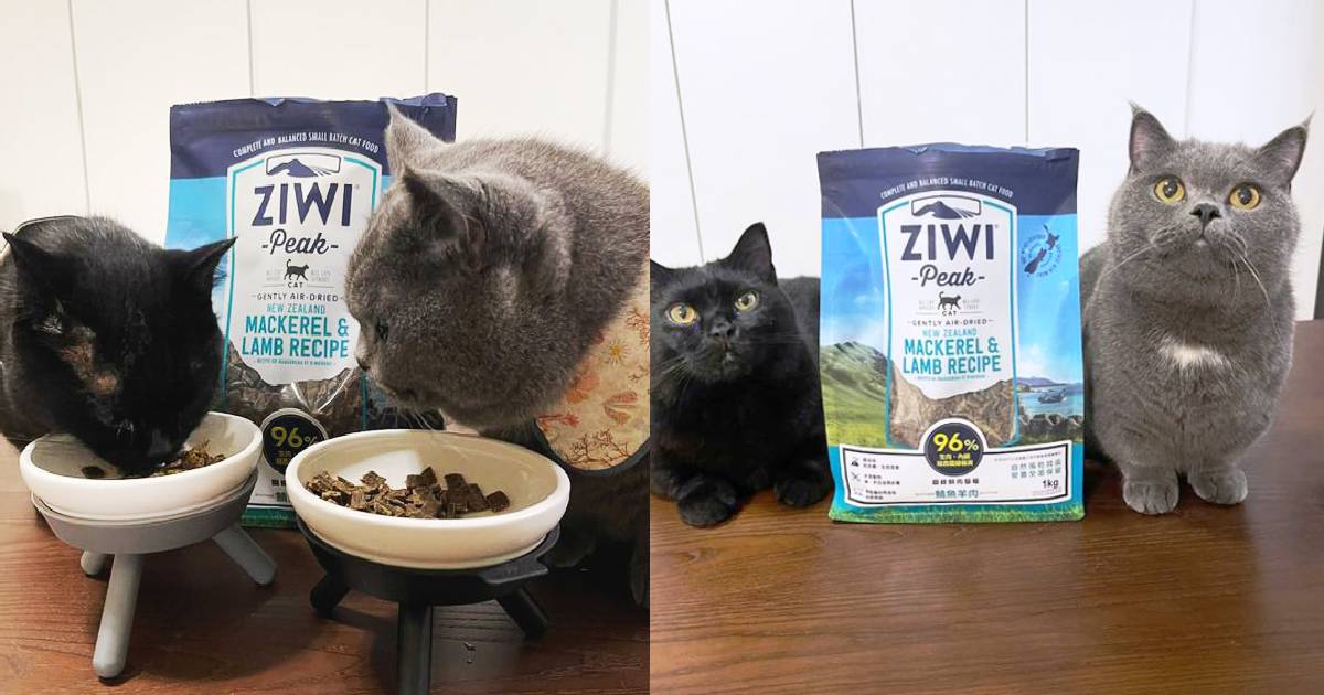 ZIWI巔峰．小小一片很適合貓貓-SofyDOG蘇菲狗