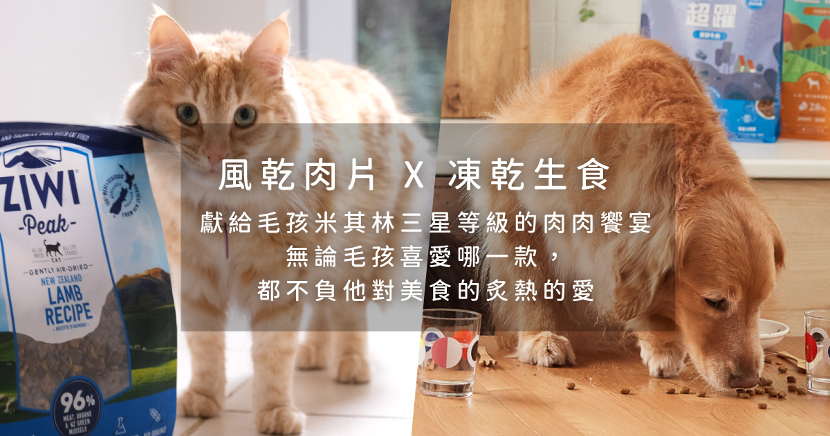 ZIWI巔峰、超躍生食 團購8折起 - SofyDOG蘇菲狗